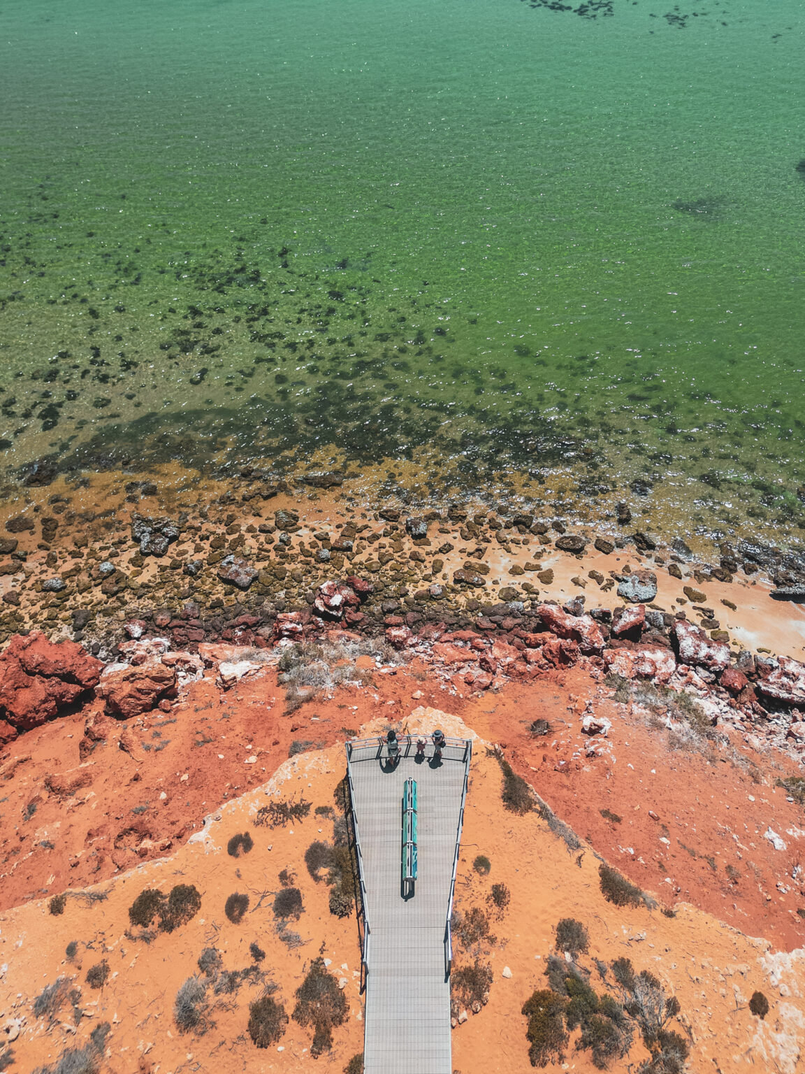 Discovering the Magic of Shark Bay: A Photographer’s & Adventurer’s ...